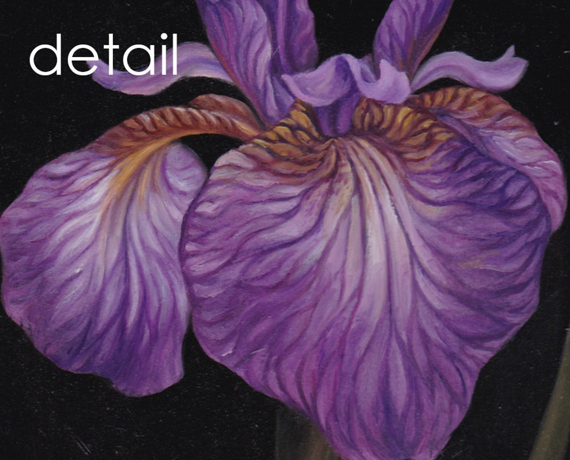Eric the Red Iris - Original Oil Painting on Wood 8x8 - Etsy