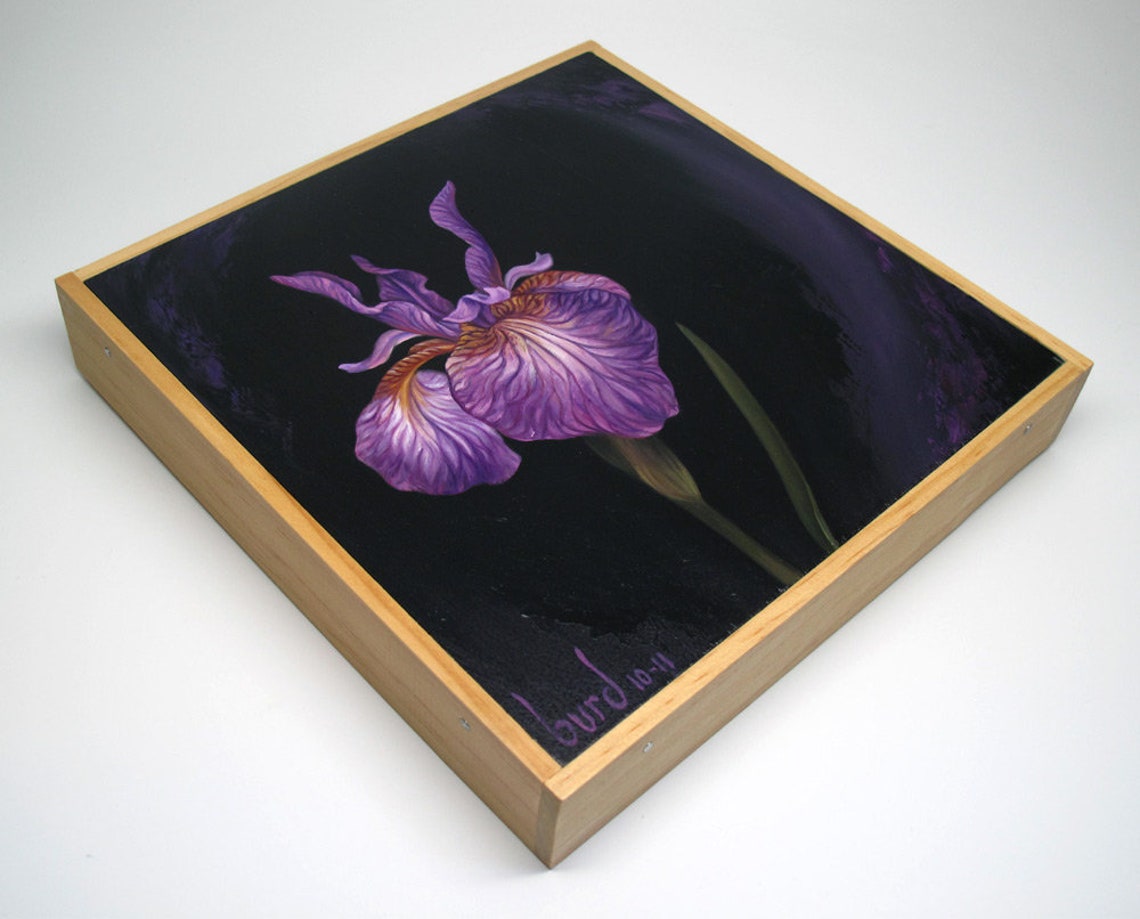 Eric the Red Iris - Original Oil Painting on Wood 8x8 - Etsy