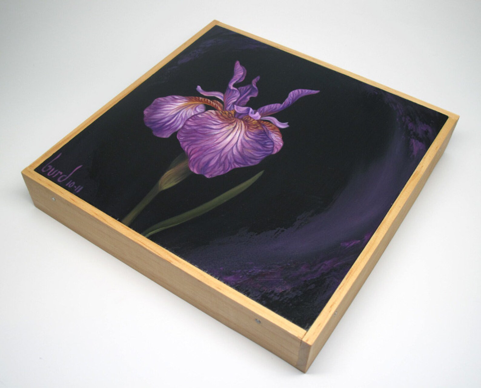 Eric the Red Iris - Original Oil Painting on Wood 8x8 - Etsy
