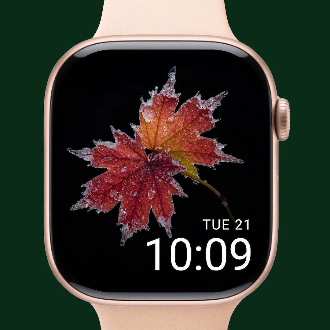 Frosted Maple Leaf Apple Watch Wallpaper | Autumn Iwatch Face (digital ...