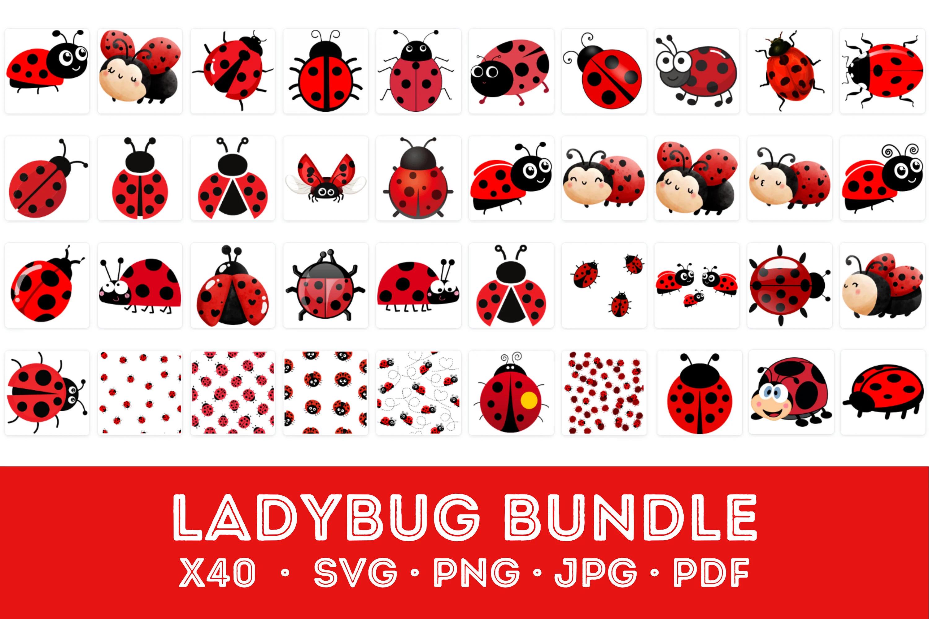 Ladybug SVG | Ladybug Bundle SVG Files | Ladybug SVG Layered | Ladybug ...