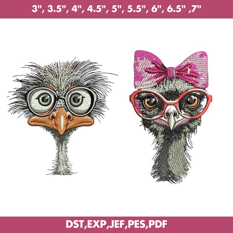 Funny Ostrich With Glasses Embroidery Design: Safari Animal (digital ...