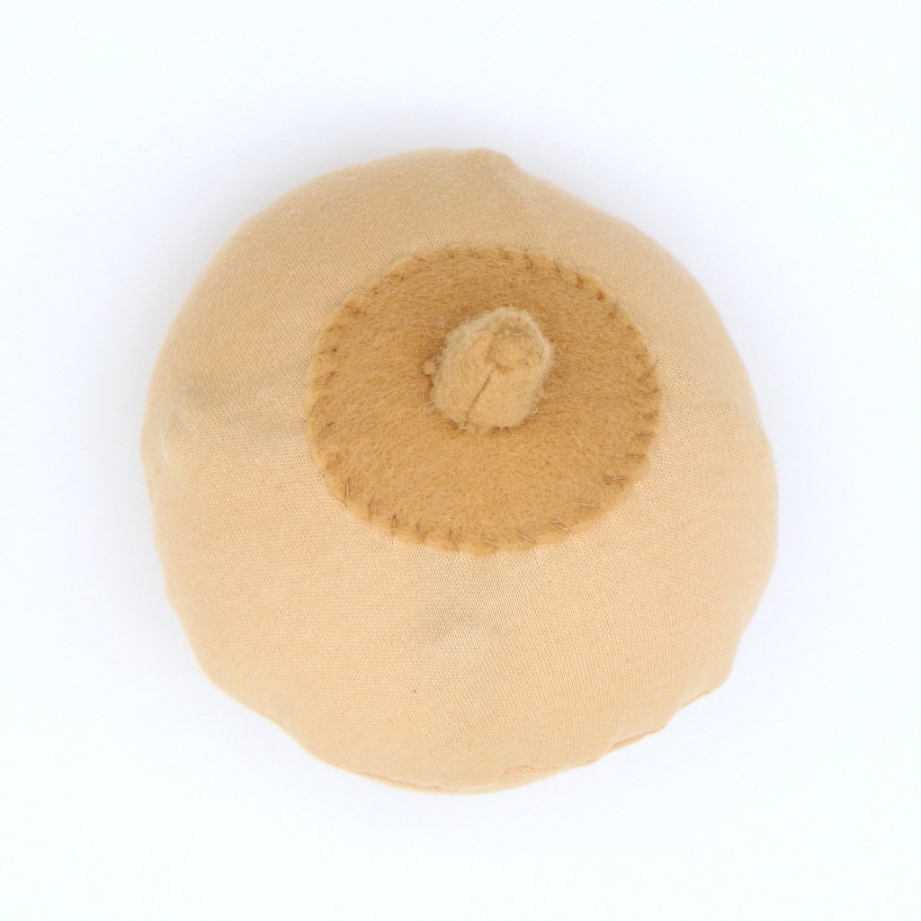 Breast Model For Teaching Breastfeeding – HLULDM