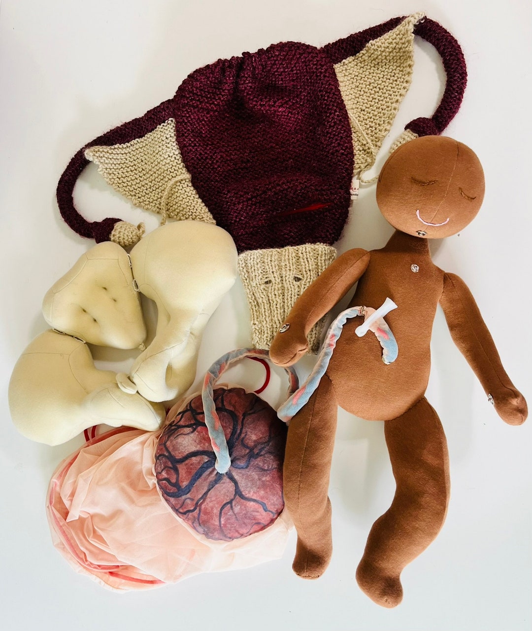 Cloth Pelvis/newborn Baby Doll/placenta/ Knitted Uterus Model Set for ...