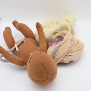 Cloth Pelvis Model Set: Baby Doll, Placenta, Childbirth Education - Etsy