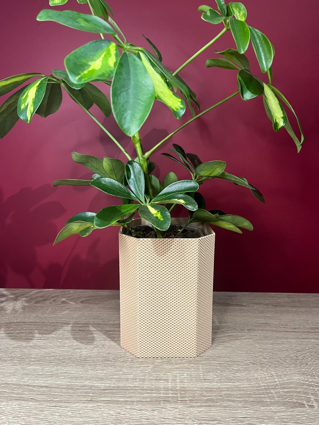 Waffle Bill, Aroid Tower Pot Covers | Eco Friendly Planter | 12 Colours ...