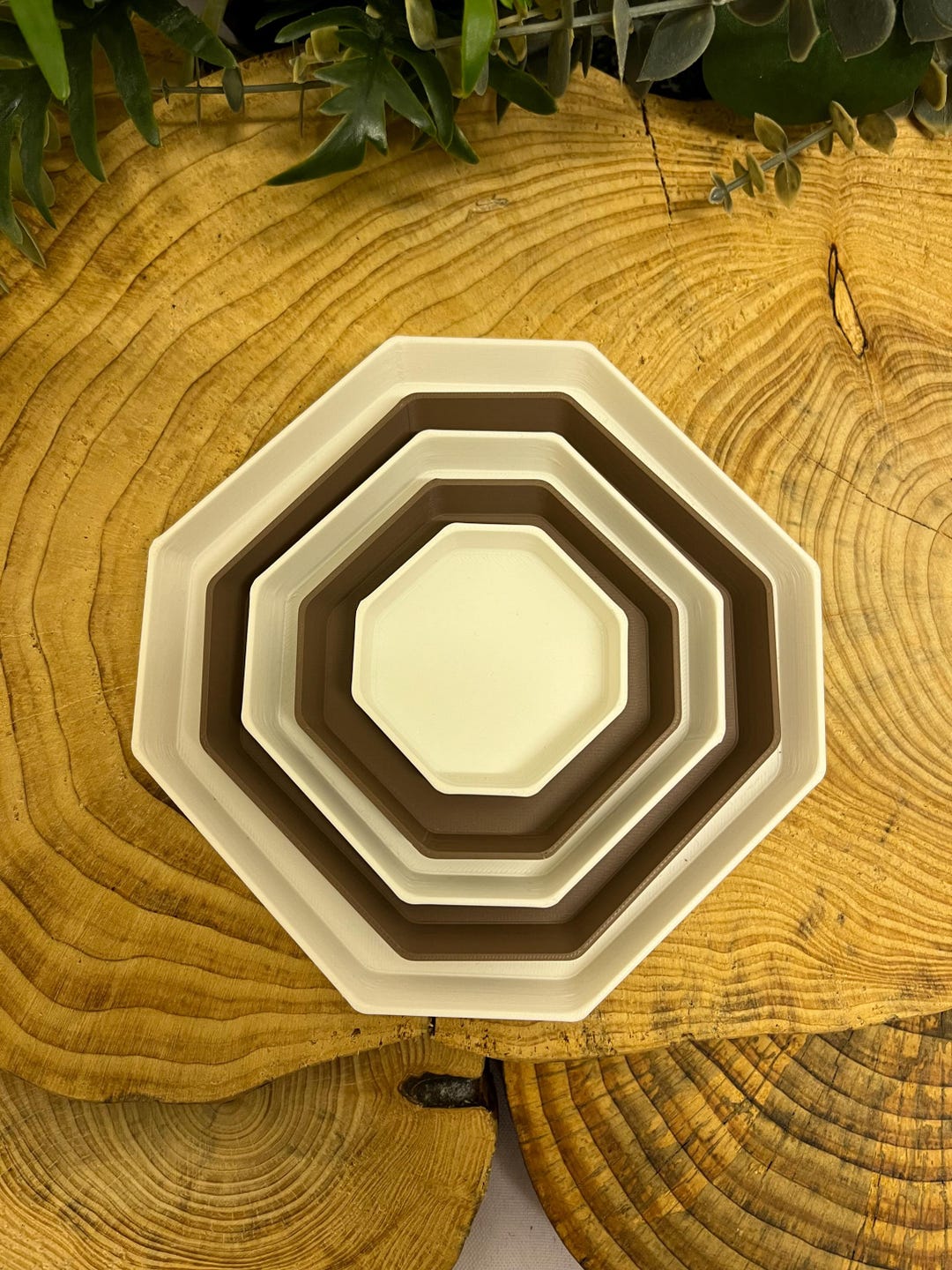 Aroid Tower Pot Drainage Tray | Eco Friendly | 12 Colours - Etsy