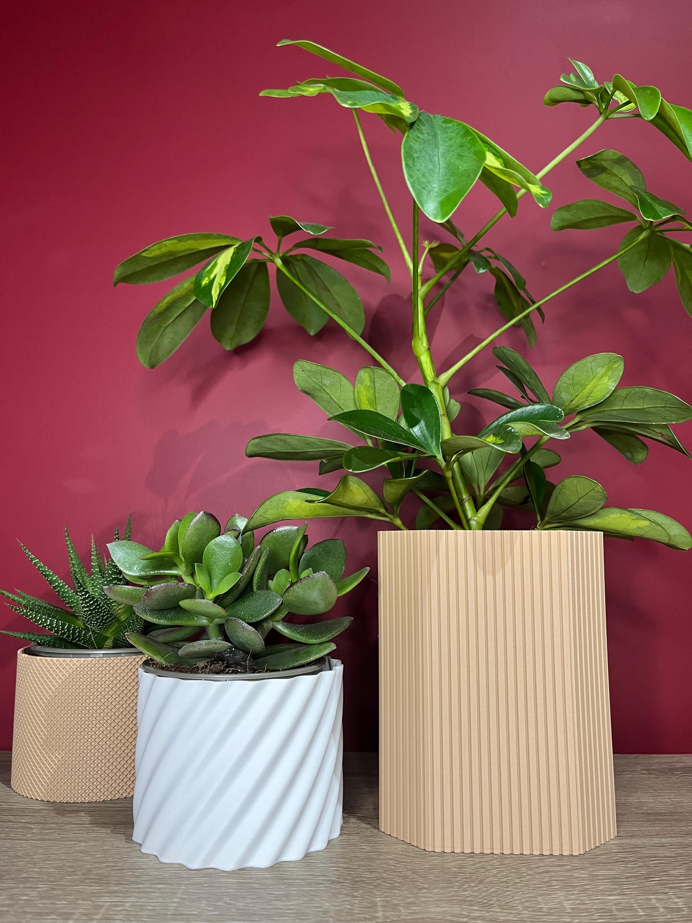 Slatted Bill, Aroid Tower Pot Covers | Eco Friendly Planter | 12 ...