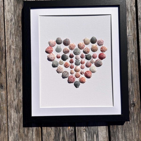 Framed Shell Art - Etsy