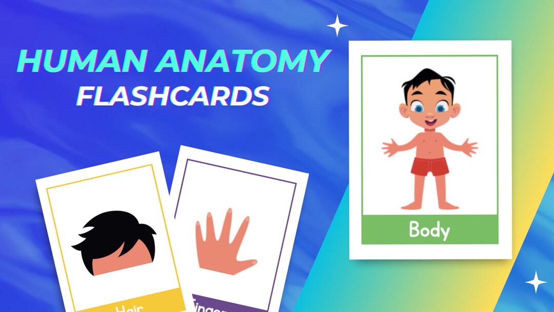 Human Anatomy Flashcard Kids Printables Instant Download Human Anatomy ...