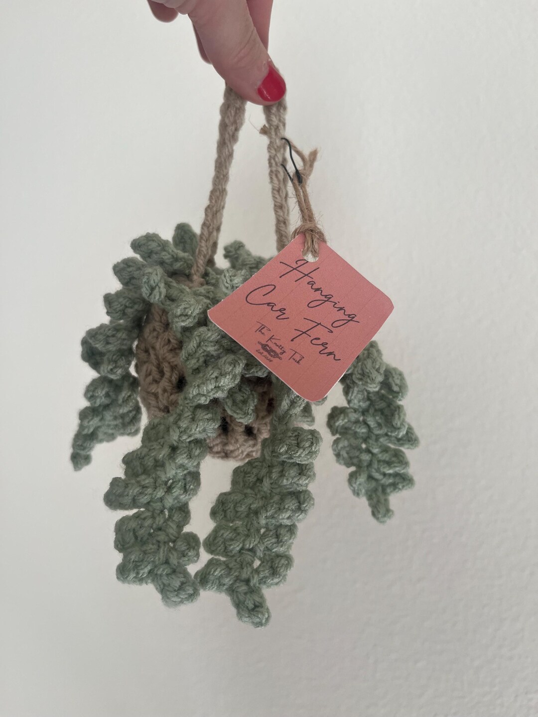 Hanging Car Plant | Plant With Basket | Fern | Crochet Rearview Mirror ...
