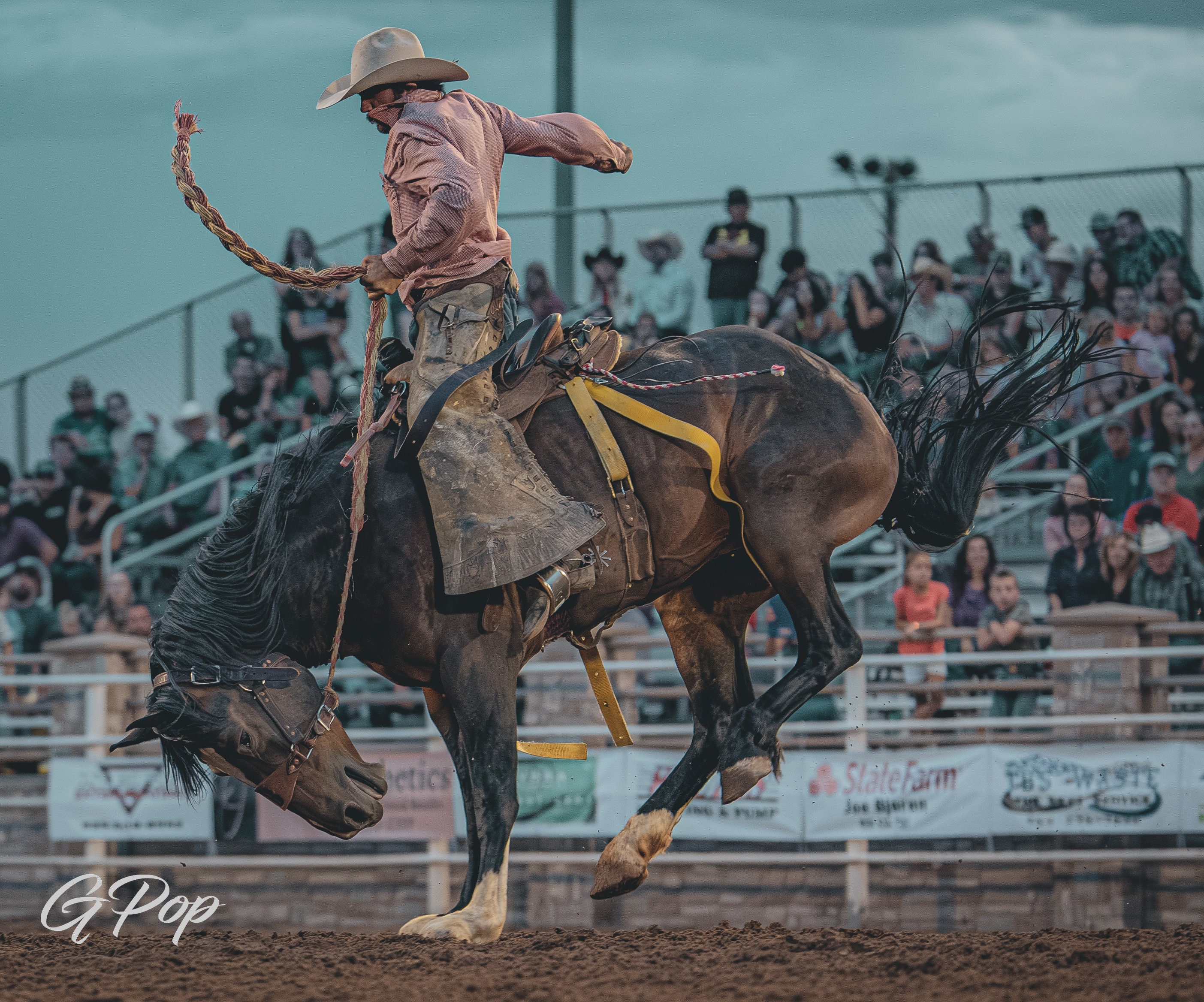 Rodeo Photos - Etsy