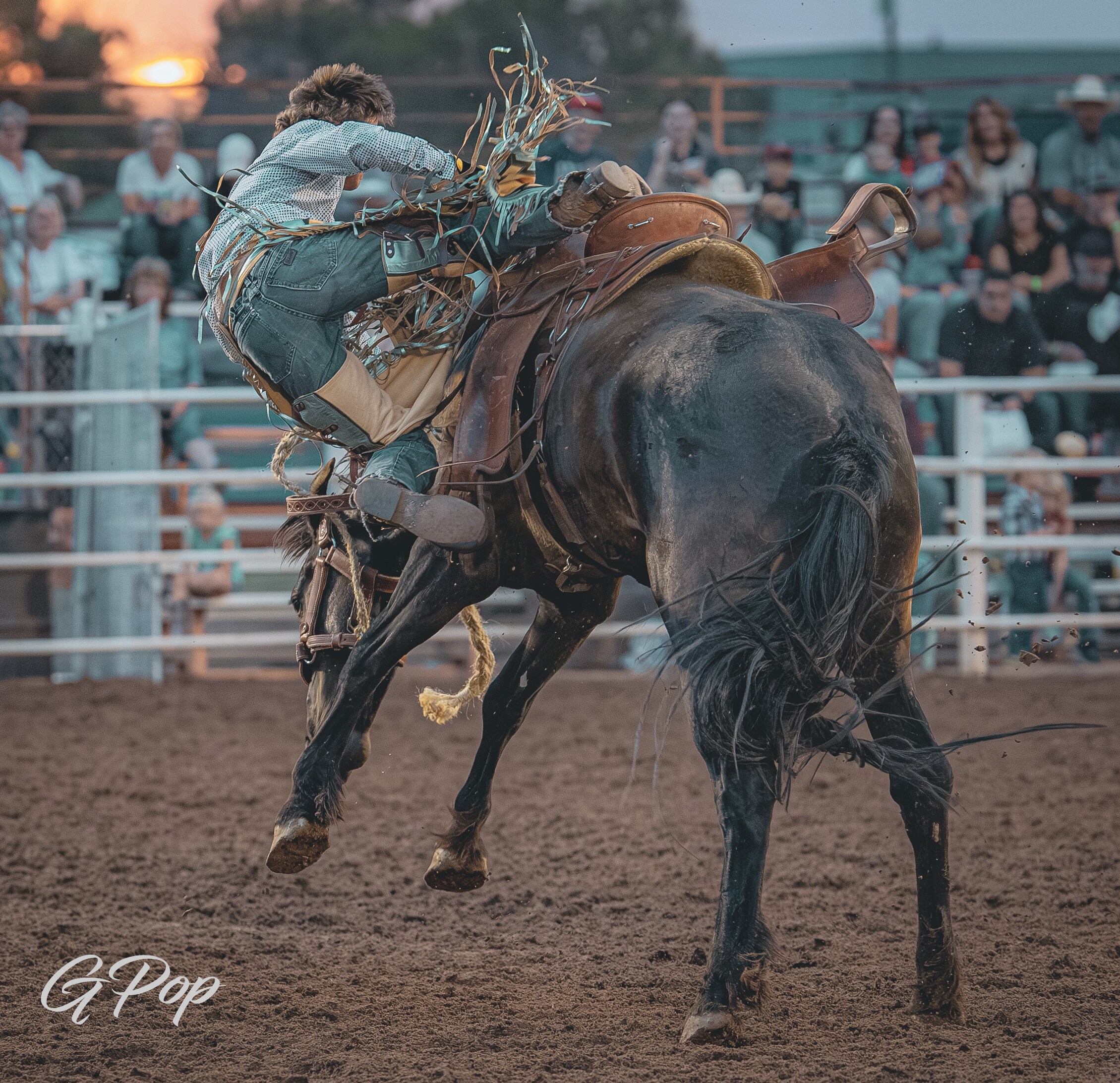 Rodeo, Bronc Riding - Etsy