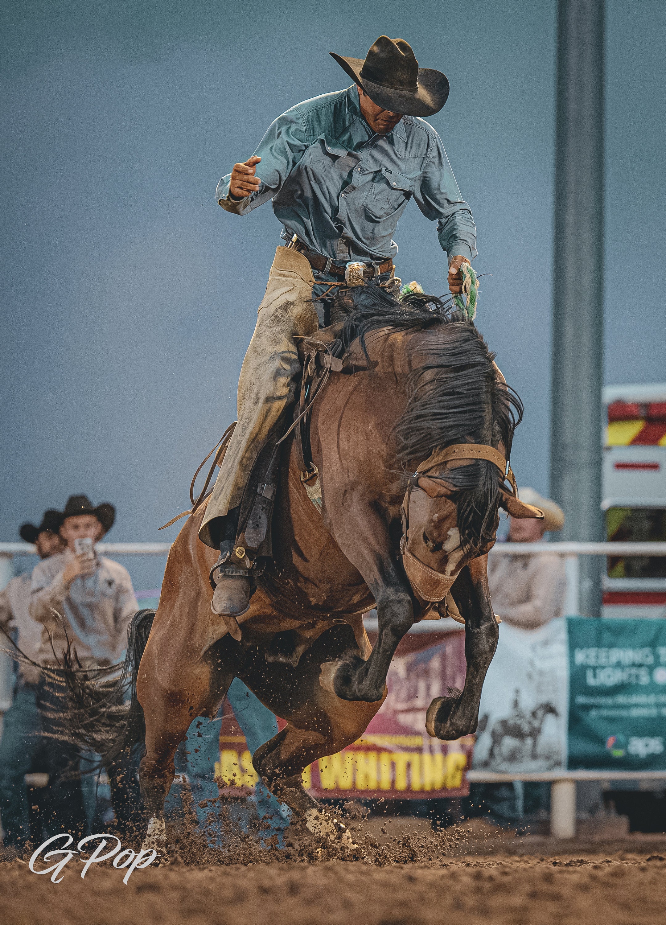 Rodeo, Bronc Riding - Etsy