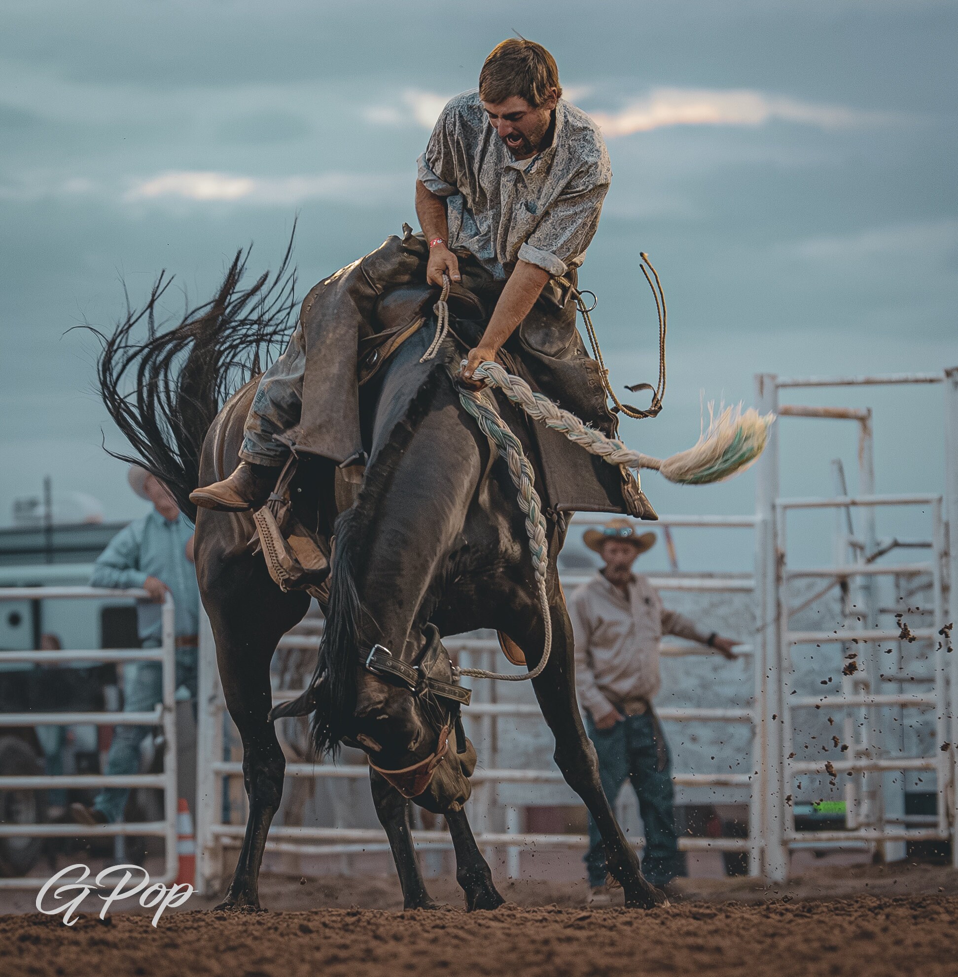 Rodeo Photos - Etsy