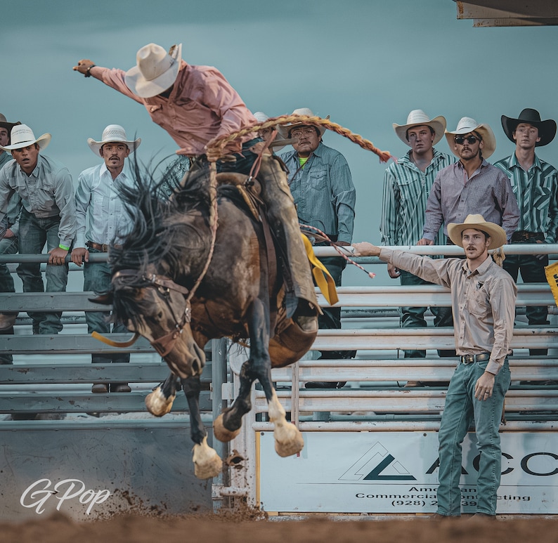Rodeo, Bronc Riding - Etsy