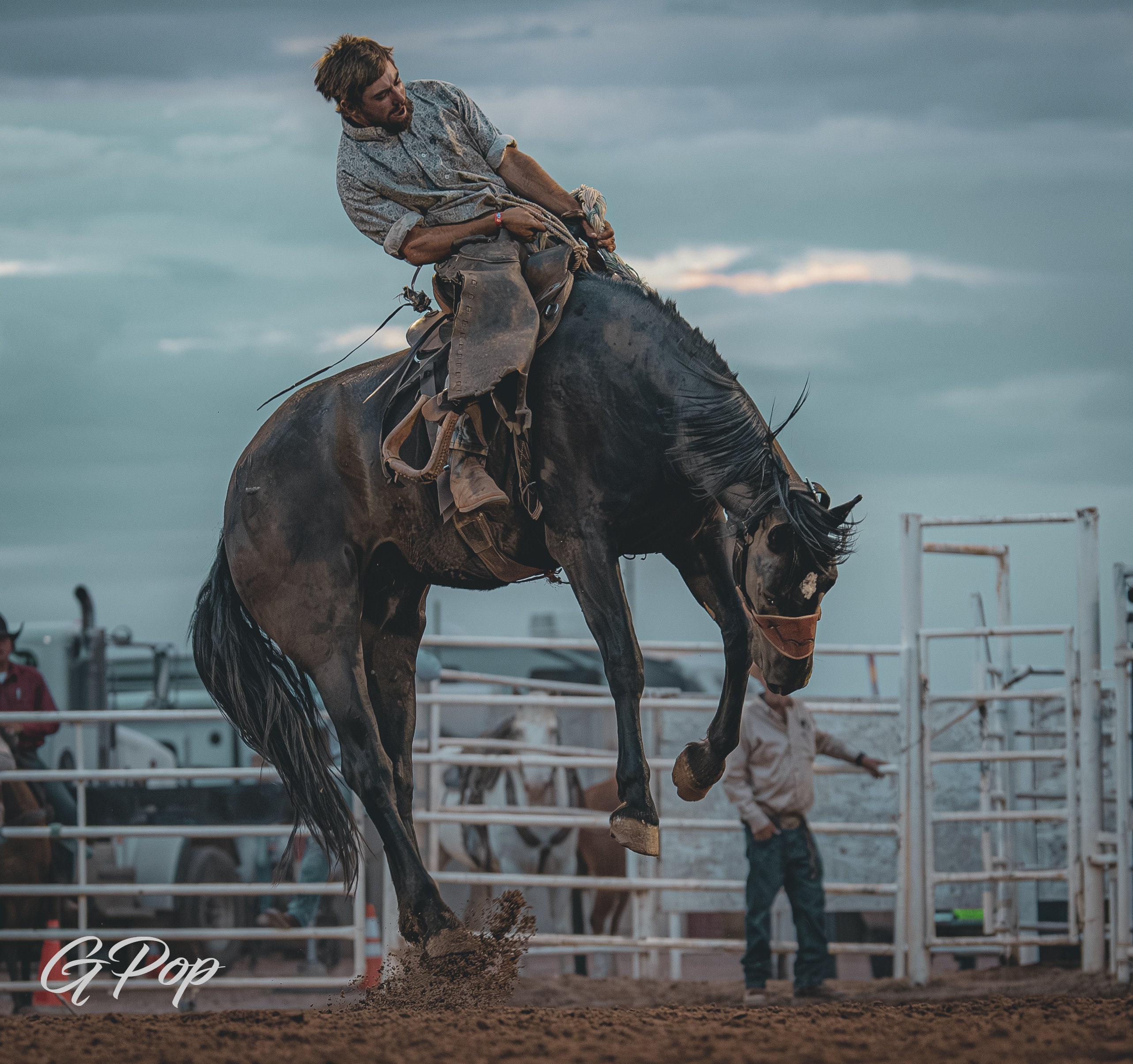 Rodeo, Bronc Riding - Etsy