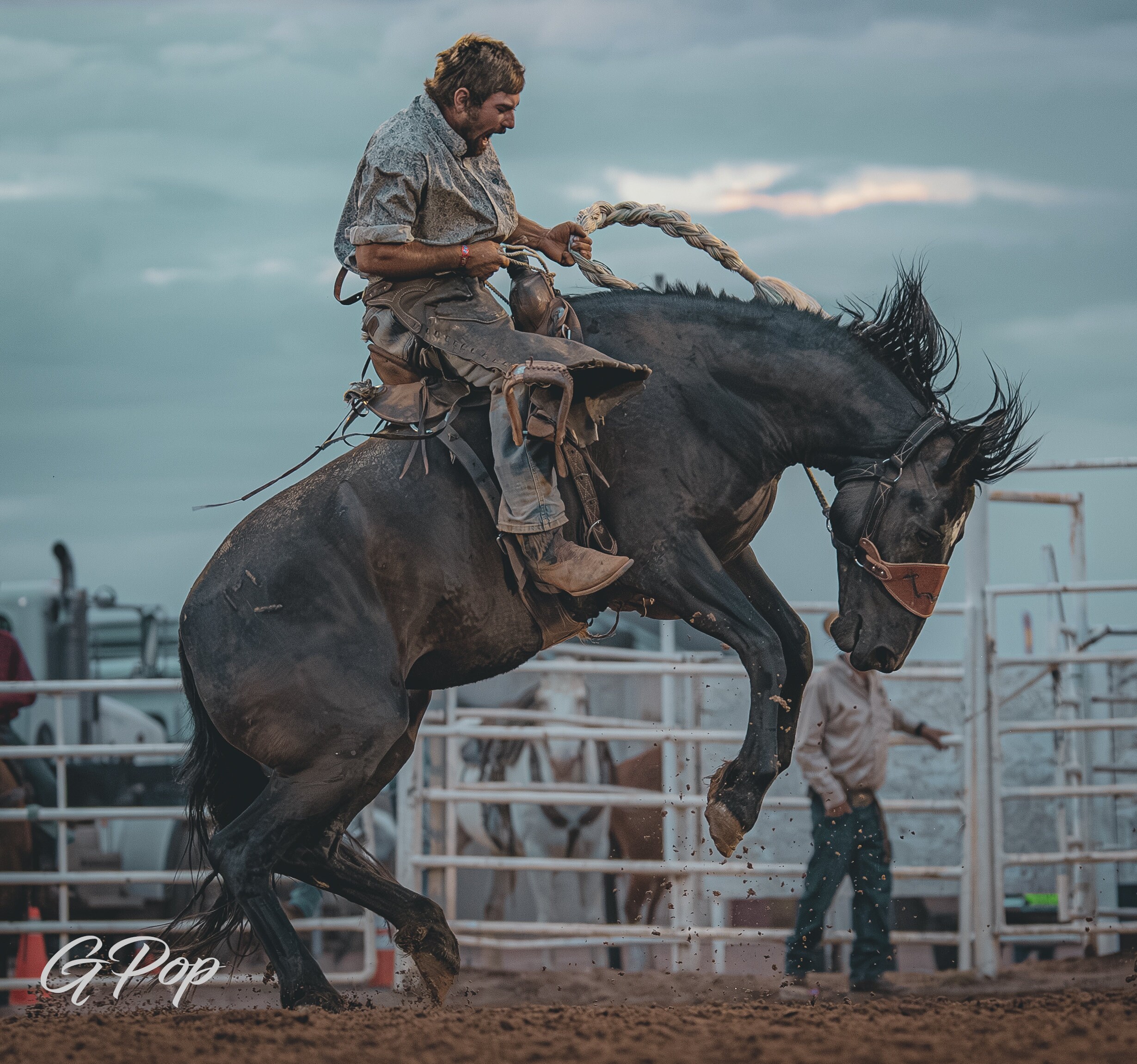 Rodeo Photos - Etsy