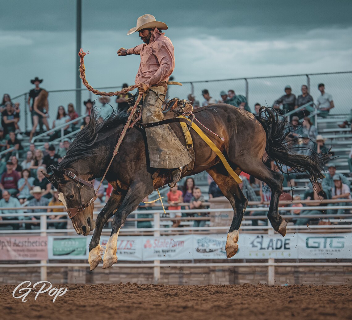 Rodeo, Bronc Riding - Etsy