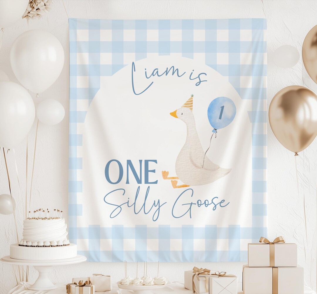 One Silly Goose Birthday Decorations, Blue One Silly Goose Backdrop ...