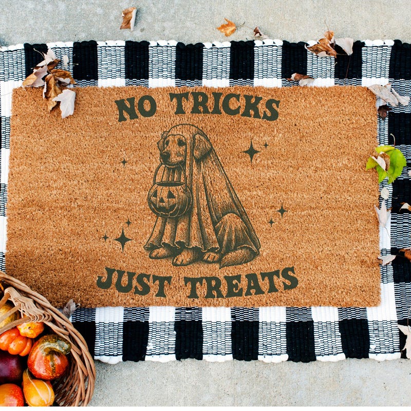 Funny Entrance Door Mat - Etsy