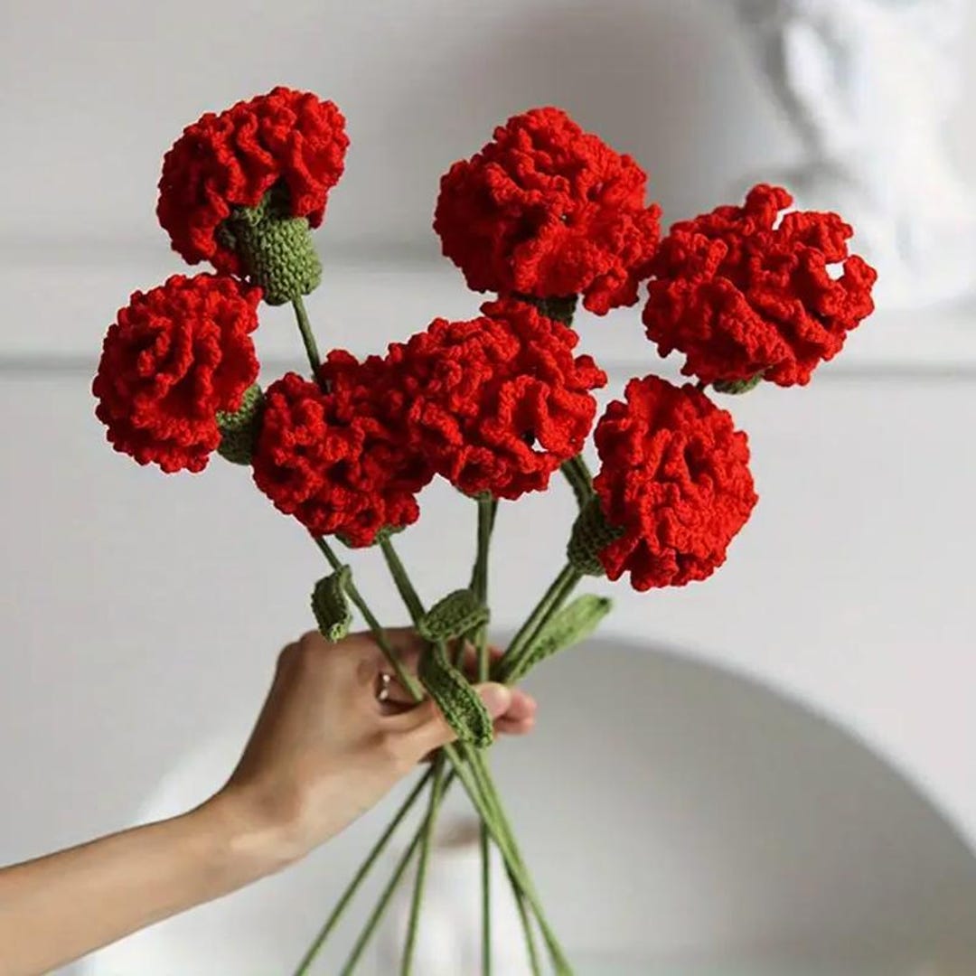 6pcs Crochet Carnation Flowers, Handmade Carnation, Home Decoration ...