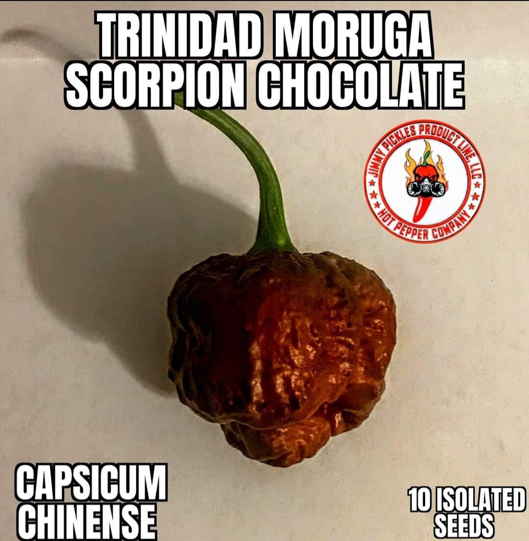 Trinidad Moruga Scorpion Chocolate Isolated Pepper Seeds super Hot 10 ...