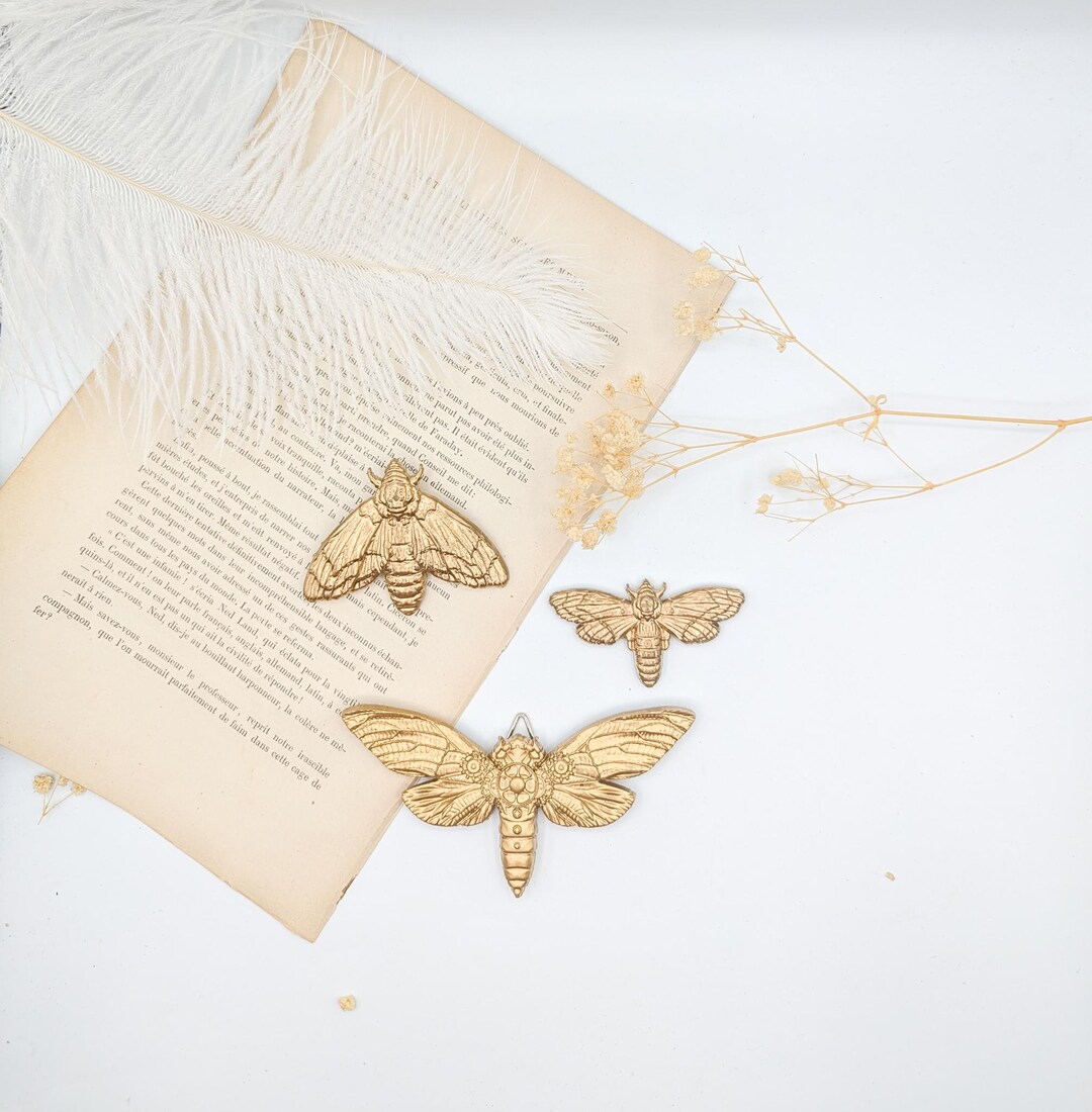 Steampunk Cicada Wall Decor, Oddities and Curiosities Decor, Boho Chic ...