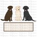 Lab Trio, Dog Trio, Labrador Retriever, Gingham, Boys Best Friend ...