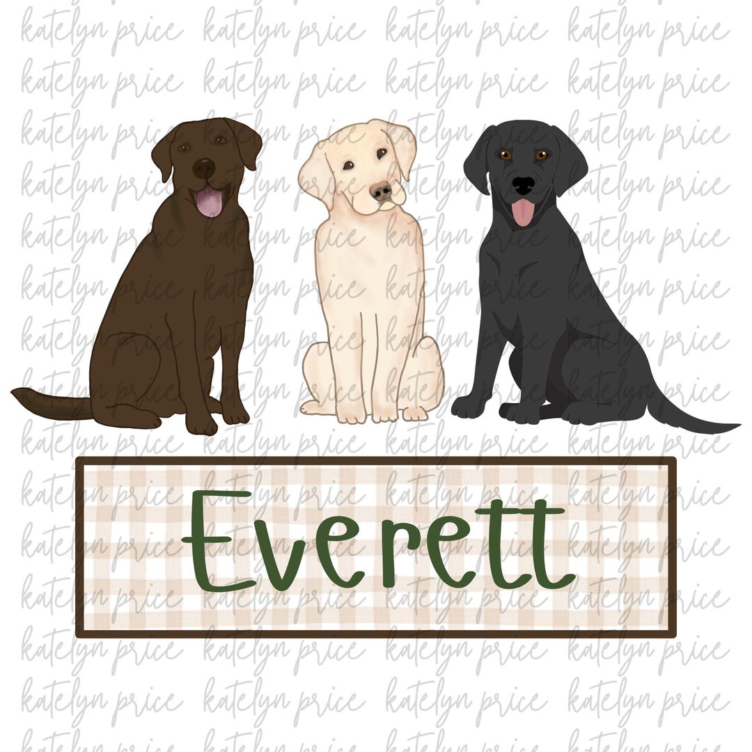 Lab Trio, Dog Trio, Labrador Retriever, Gingham, Boys Best Friend ...