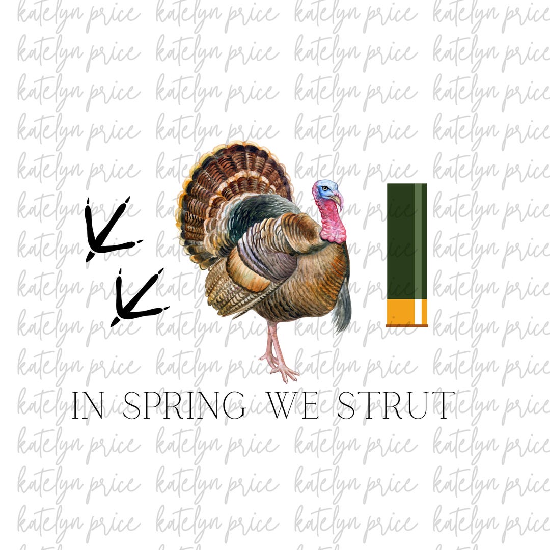 In Spring We Strut, Turkey Hunting, Turkey Season, Turkey, Hunting ...