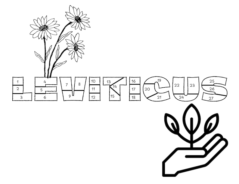 Leviticus Bible Tracker - Etsy