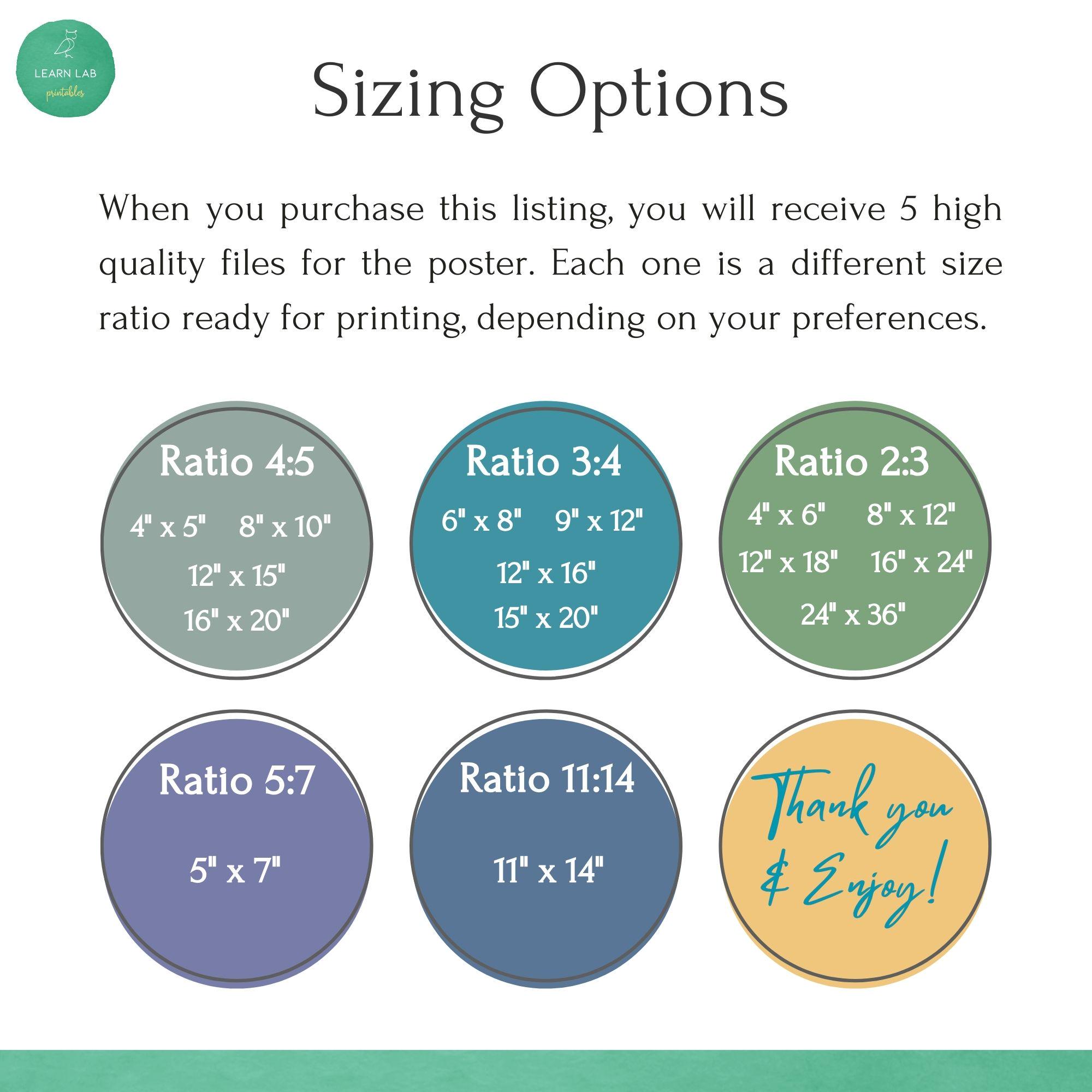 Maths Posters for Primary Kids | Fractions | Educational Wall Art for ...