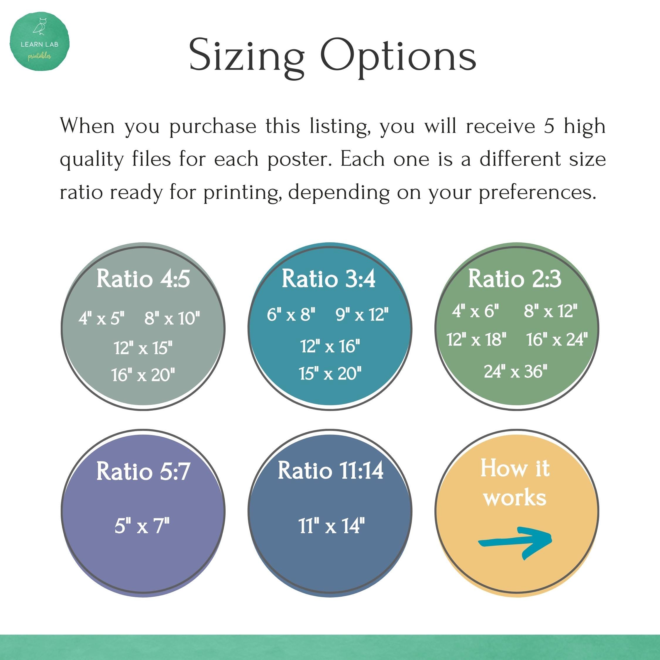 English Grammar Posters for Primary Kids | Set of 6 Educational Wall ...