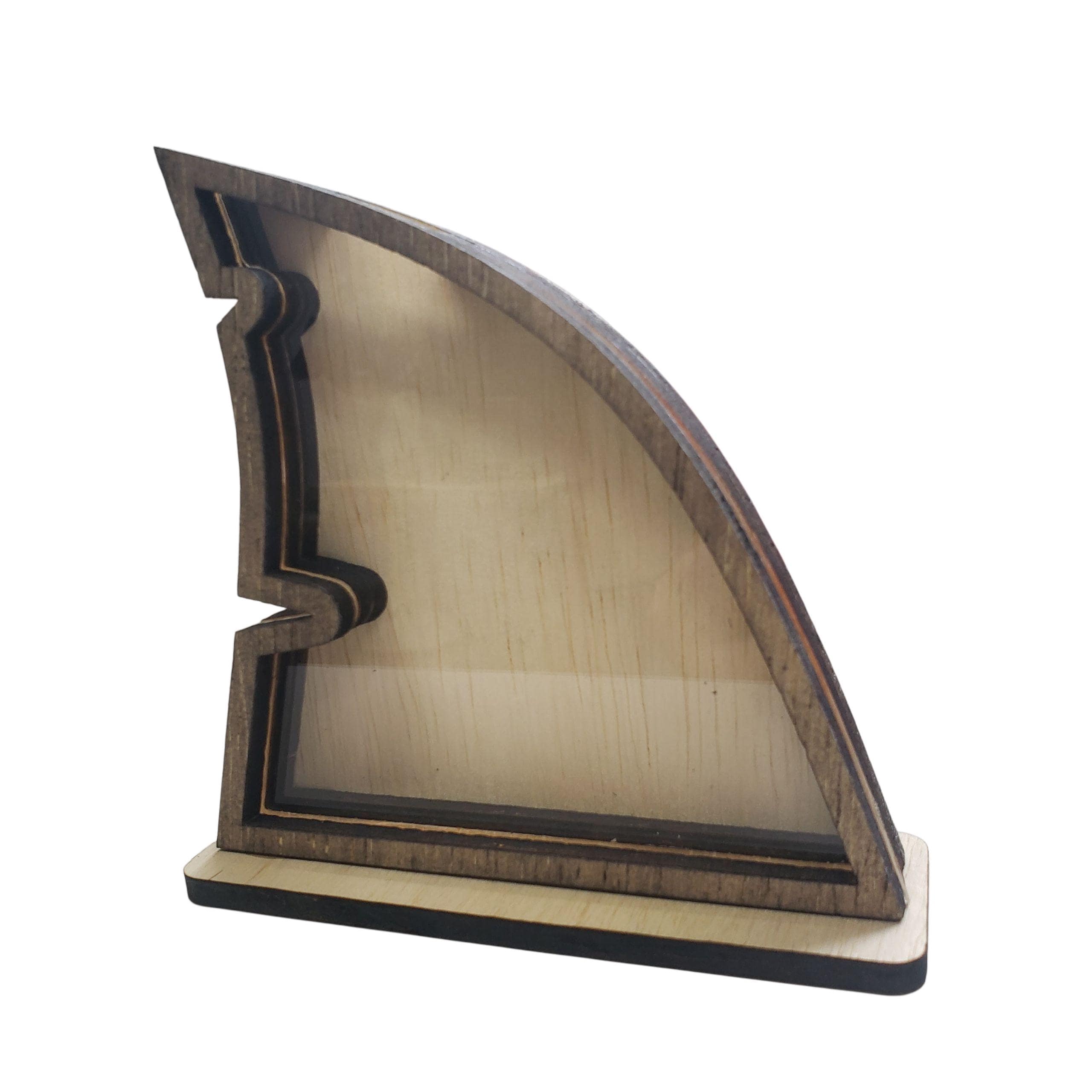 Shark Fin Sea Glass Shadowbox: Ocean Treasure Display, LED Option - Etsy
