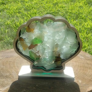 Clam Shell Sea Glass Shadowbox Display, Window Hanging, Double-sided ...