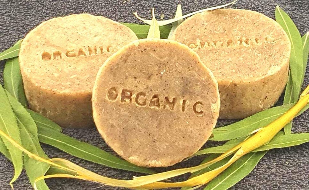 Willow Tree Soap, Weeping Willow Soap, Against Acne.acne Soap, Acne ...