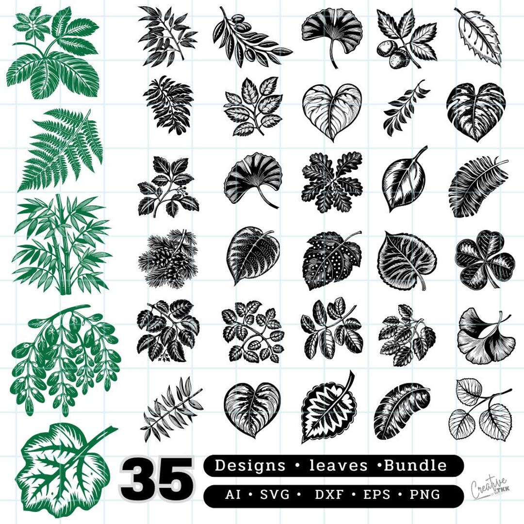 35 Unique Leaf Designs Bundle / Botanical Clipart in Ai, Svg, Dxf, Eps ...