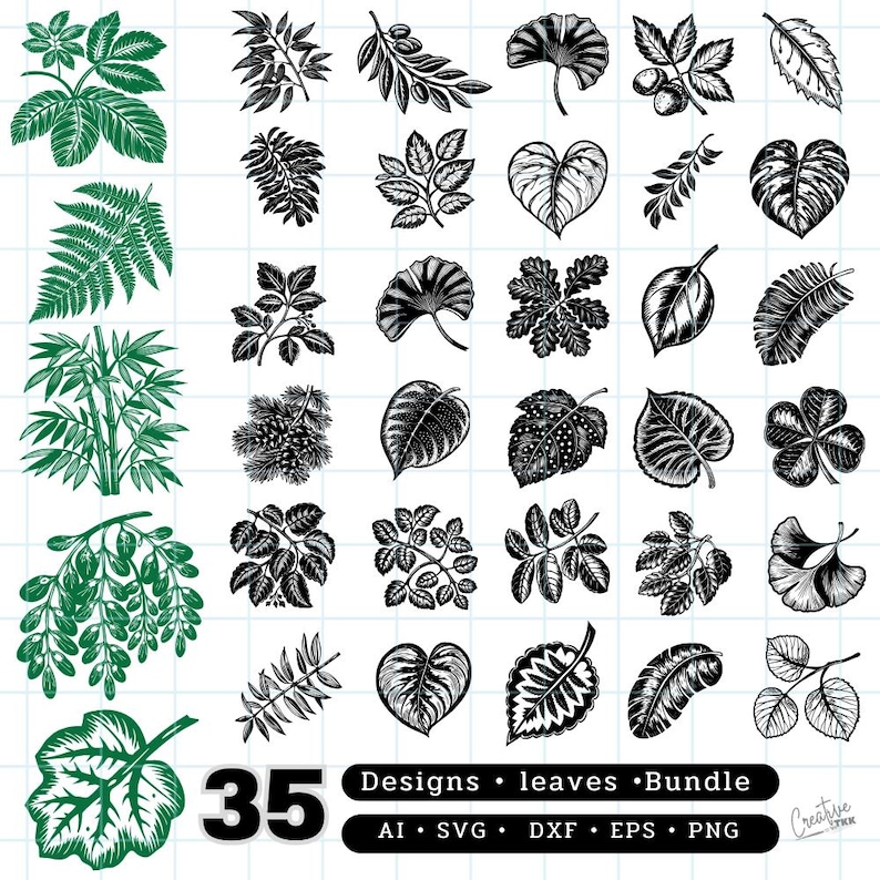 35 Unique Leaf Designs Bundle / Botanical Clipart in Ai, Svg, Dxf, Eps ...