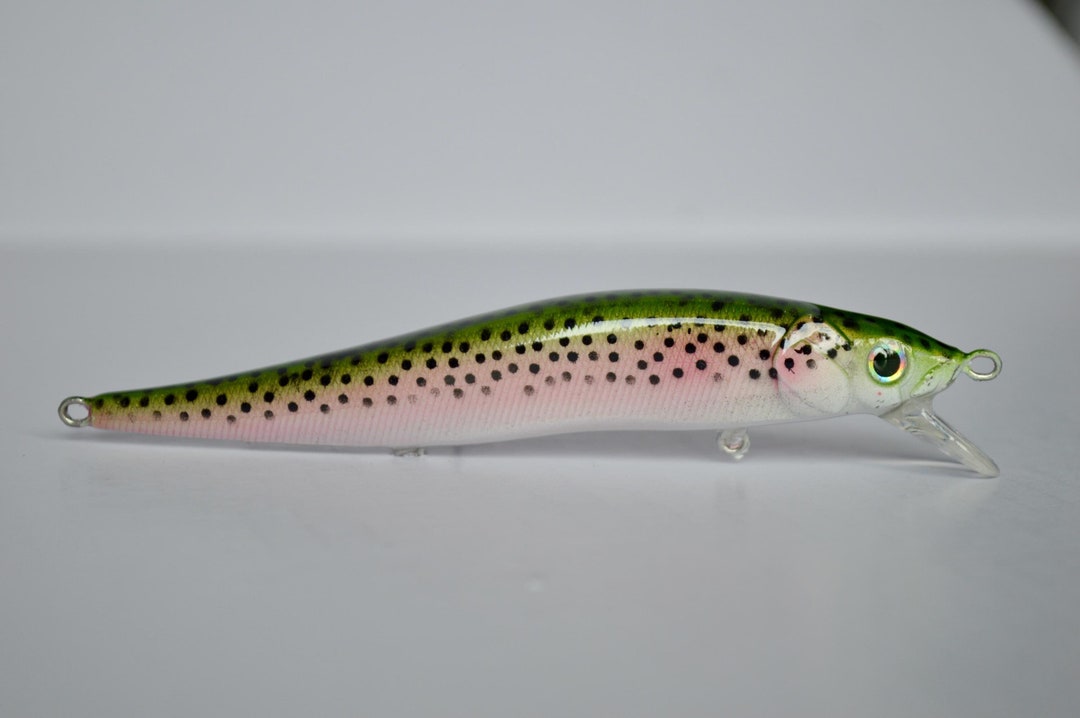 Trout Custom Fishing Jerkbait - Etsy