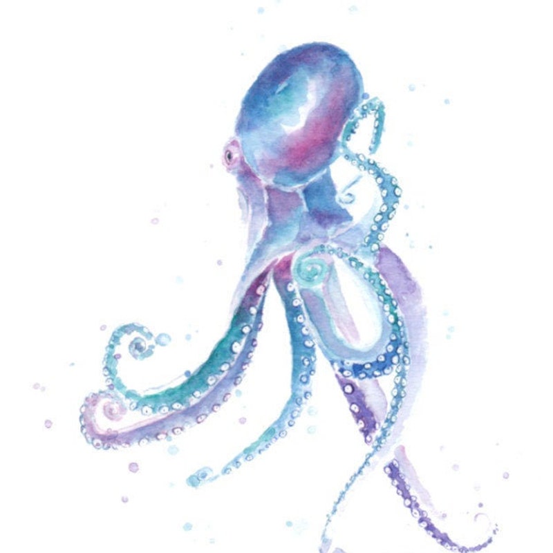 Octopus Watercolor - Etsy