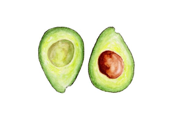 Avocado Watercolor Painting Print From Original Watercolor | Etsy