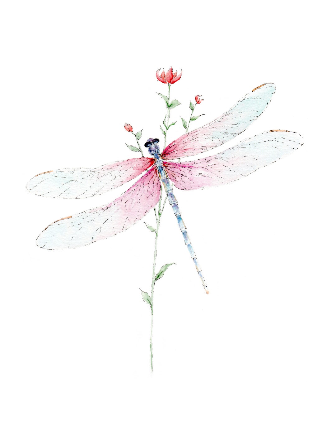 Dragonfly Watercolor Painting Print From Original Watercolor Painting ...