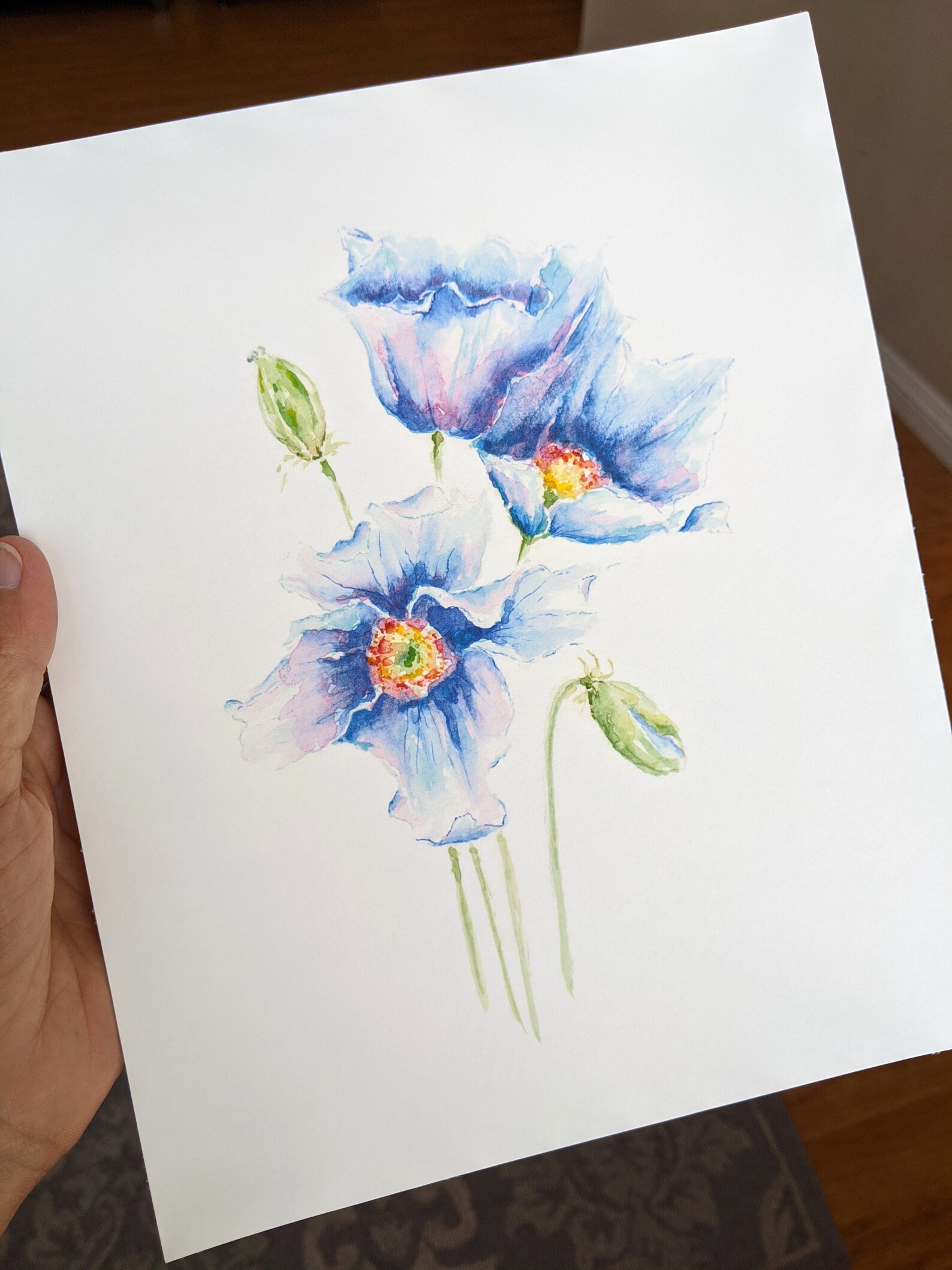 Blue Himalayan Poppies Watercolor Painting Print From Original ...