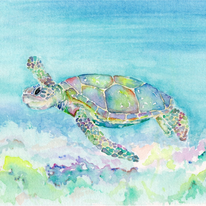 Turtle Art - Etsy