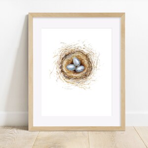 Birds Nest Watercolor Painting Print From Original Watercolor Painting ...