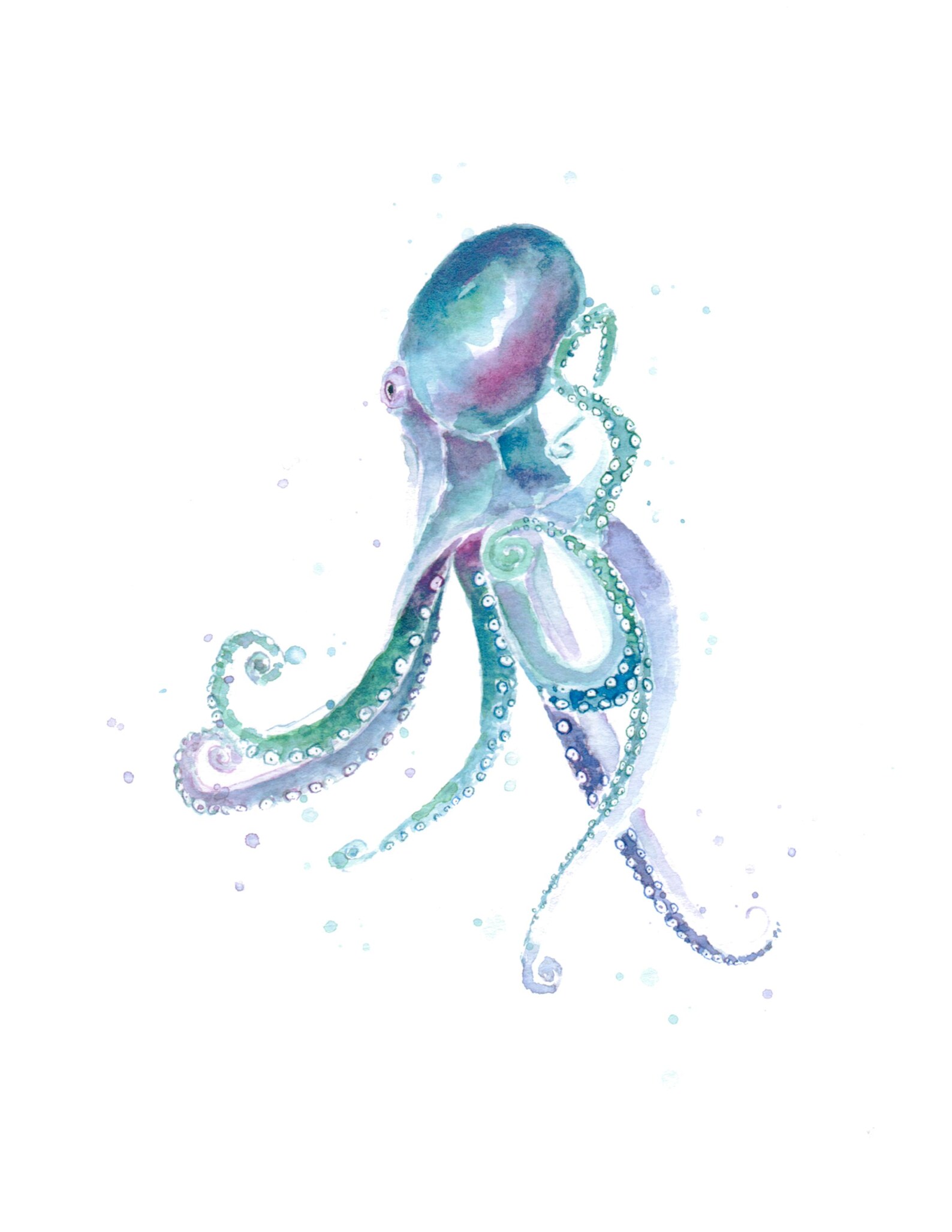 Octopus Watercolor Painting Print From Original Watercolor Painting ...