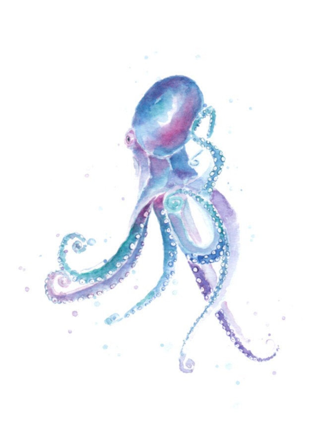 Octopus Watercolor Painting Print From Original Watercolor - Etsy