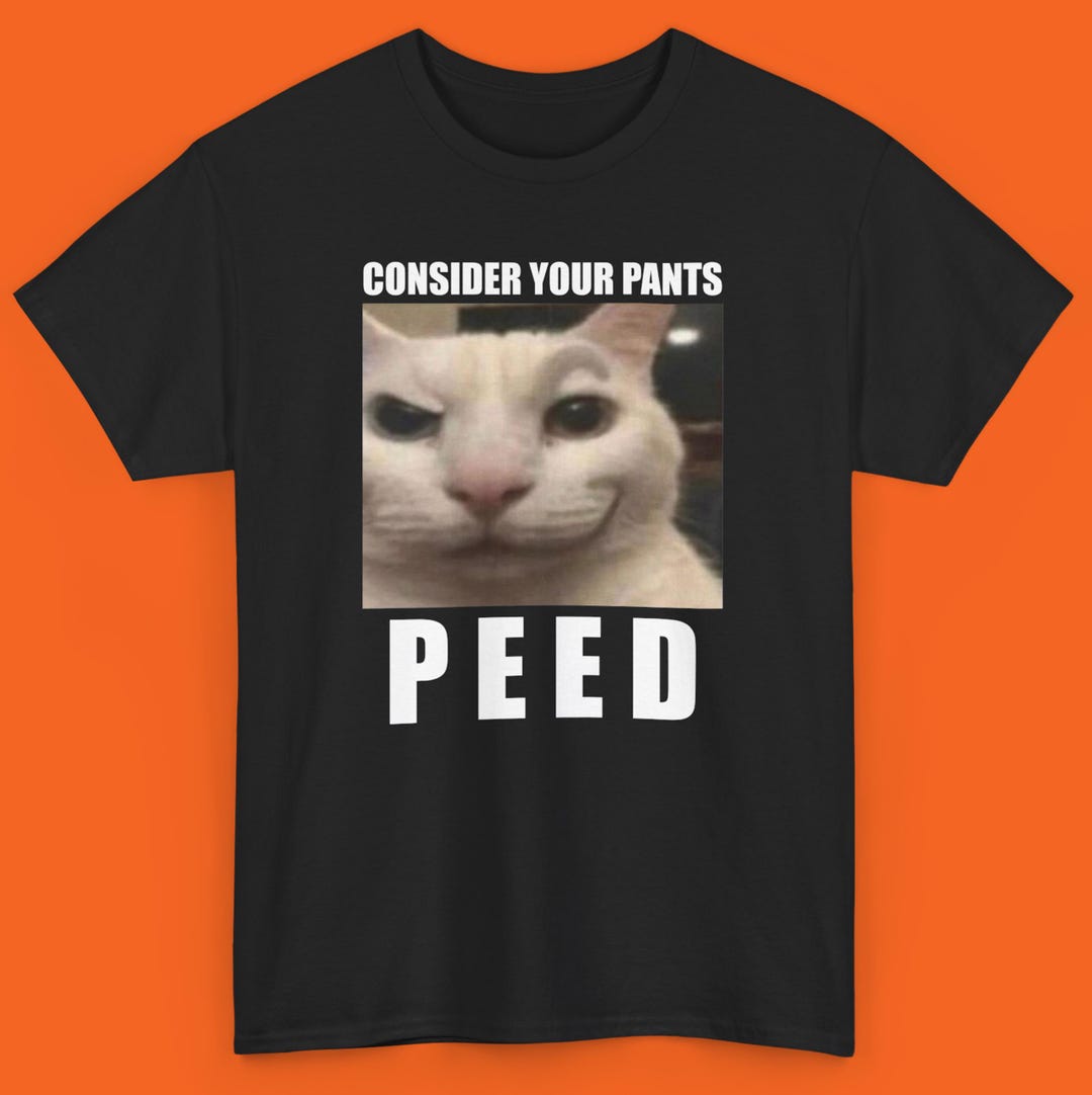 Consider Your Pants Peed Meme Shirt, Cat Meme Shirts Goofy Ahh Funny ...
