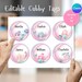 Mermaid Name Tags: Editable Classroom Labels (PDF) - Etsy